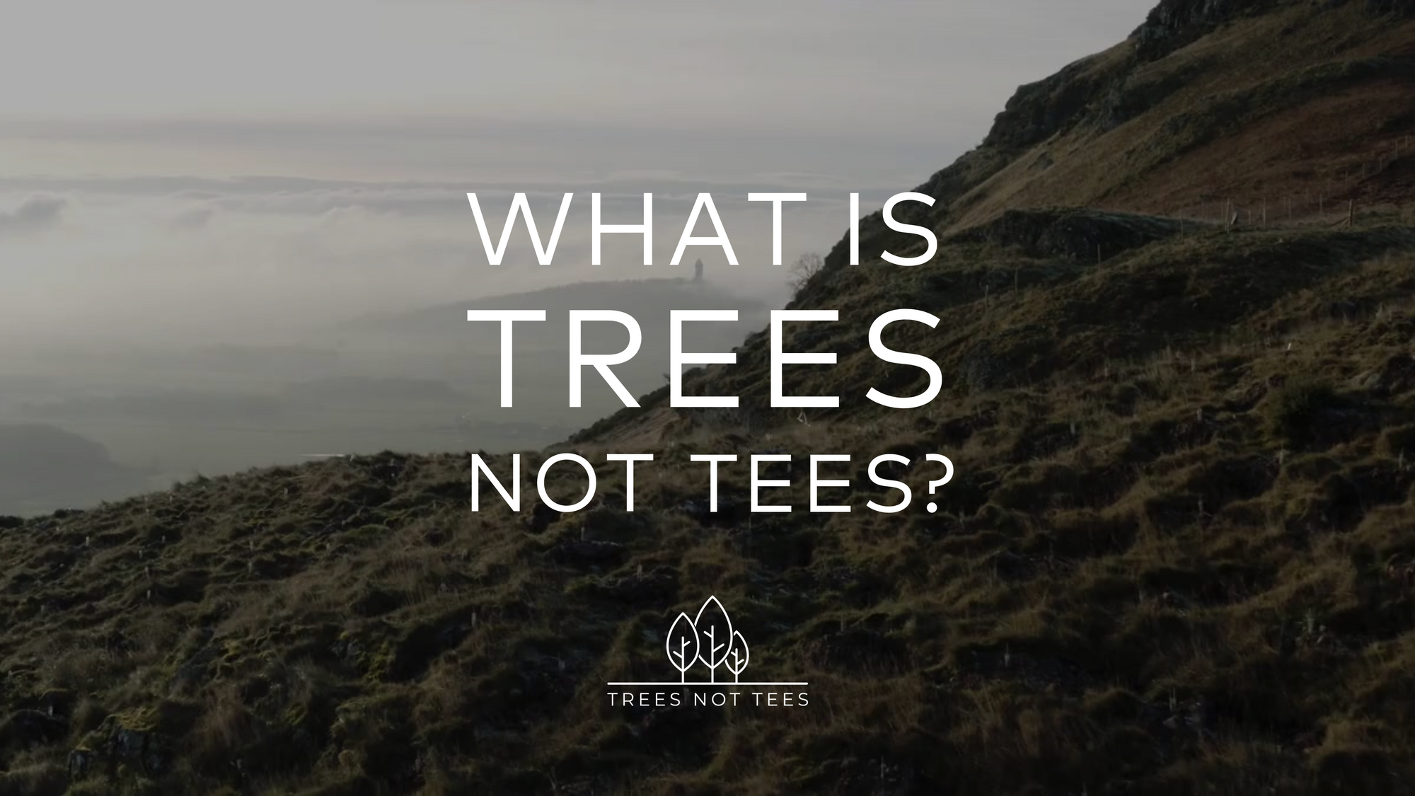 Trees Not Tees | Transforming Events to Heal the Planet